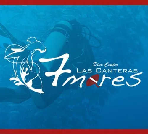 Diseño / Programación Web 7 Mares Dive Center | Adseoweb